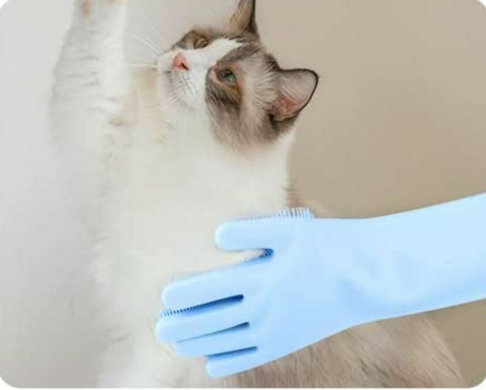 Pet Grooming Silicone Rubber Scrubber Cleaning Blue Color 2 in 1 – USA ...